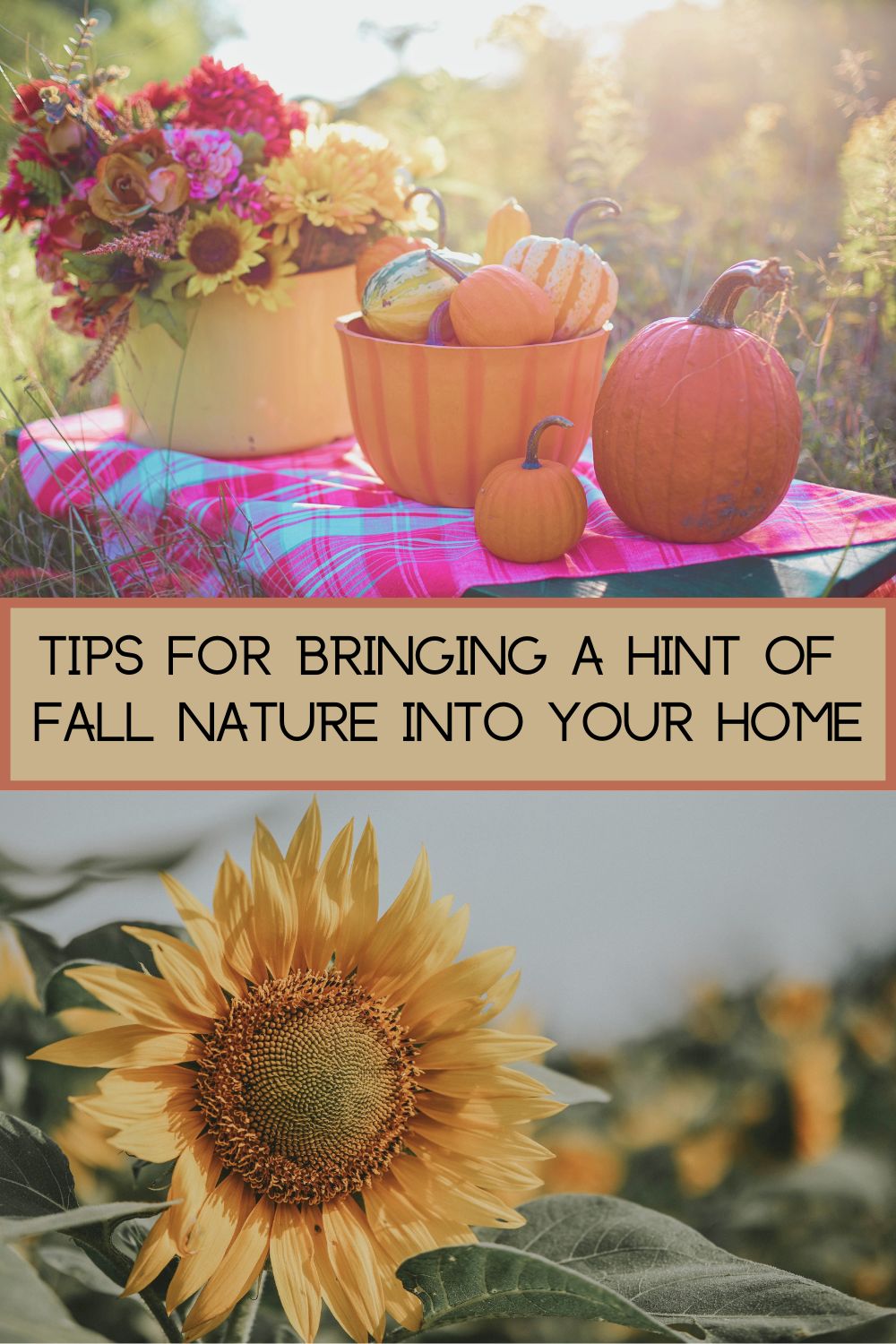 Tips For Bringing a Hint of Fall Nature Into Your Home - Be Home Inspired